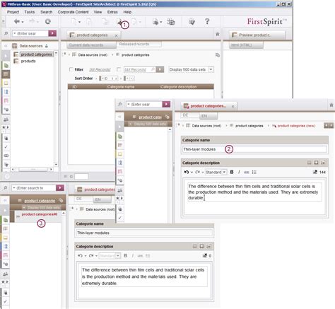 Firstspirit Online Documentation Editing Datasets Firstspirit Online Documentation Editing Datasets