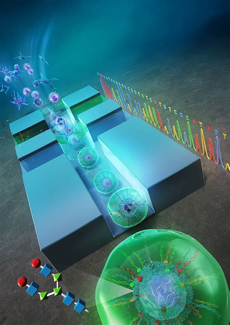 Scientific Cover Picture Illustration Services Small Methods 17 May