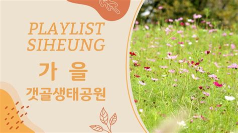 Playlist Youtube