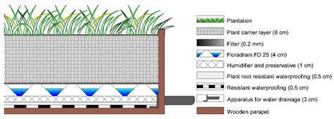 Illustration Of Intensive Green Roof Section Diagram