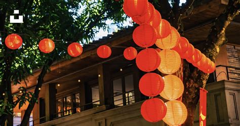 나무에 매달려 있는 빨간색과 노란색 등불 무리 사진 Unsplash의 무료 축제 이미지