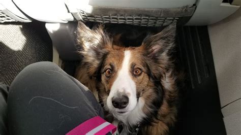 Danielle Lindblom On Linkedin Csun25 Accessibility Development