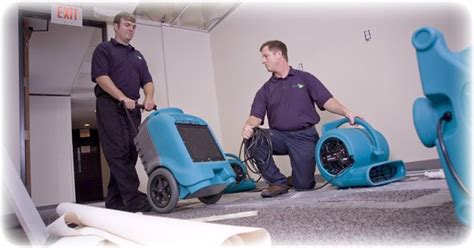 Servicemaster Elite Startus