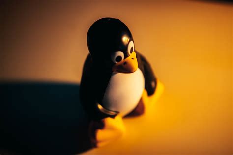 My Incredible Journey With Linux Canvas Of Dreams