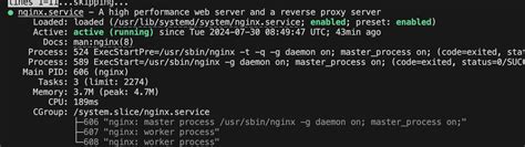 Ec2 무중단 배포 Nginx