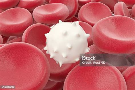 백혈구 의학 또는 미생물 배경 3d 일러스트레이션 3차원 형태에 대한 스톡 사진 및 기타 이미지 3차원 형태 건강관리와 의술 과학 Istock