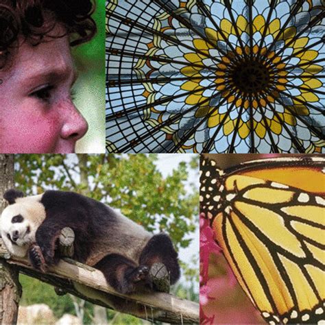 Image Display Of The Dataset Section Download Scientific Diagram