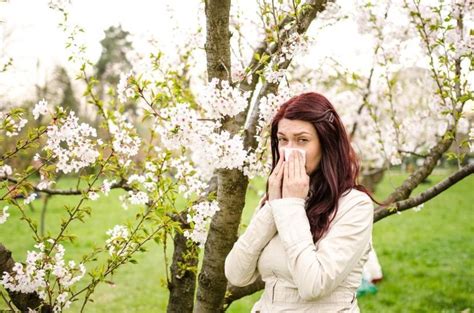 The Causes Risk Factors Symptoms Diagnosis And Treatment Of Oesophageal Thrush