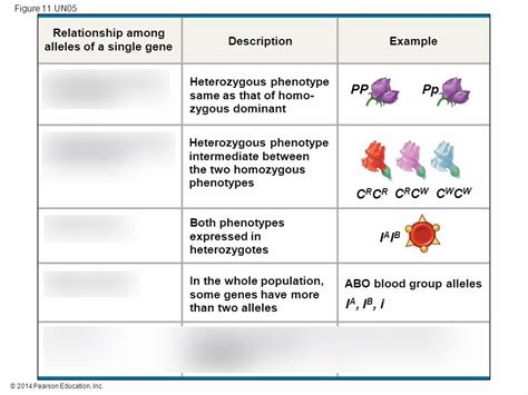 Biology Chapter 7 Test Review With Vocabulary Diagram Quizlet