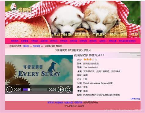Web实验2 制作简单网页（htmlcss）web实验二网页设计你的负卿是我的博客 Csdn博客