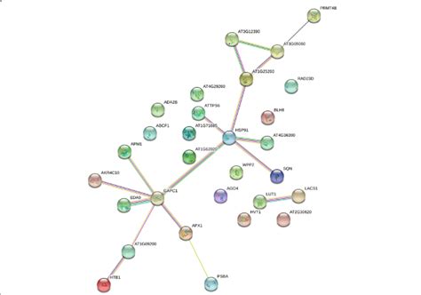 Putative Molecular Regulatory Networks From The Nils Download
