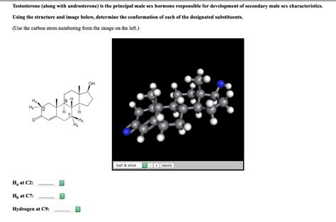Testosterone Along With Androsterone Is The Principal Male Sex Hormone Responsible For