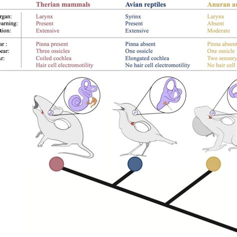 Spectral Density Profiles Of The Normalized Modified Graph Laplacian Of Download Scientific