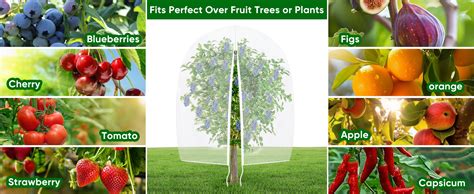 Amazon Com Fruit Tree Netting For Cicadas With Zipper 4Pcs 5 X 4FT Garden Bird Netting For
