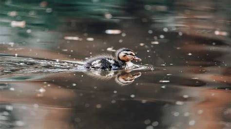 Proofs In Mathematics Mathematics Satyam