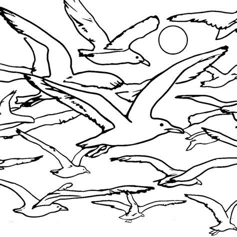 갈매기 색칠 공부 Kr에서 무료 색칠 공부