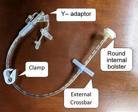 Gastric Feeding Tube Types