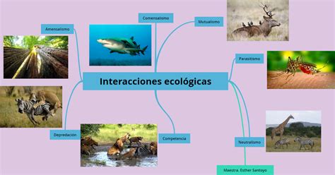 Ciencias Y Educación Interacciones Ecológicas