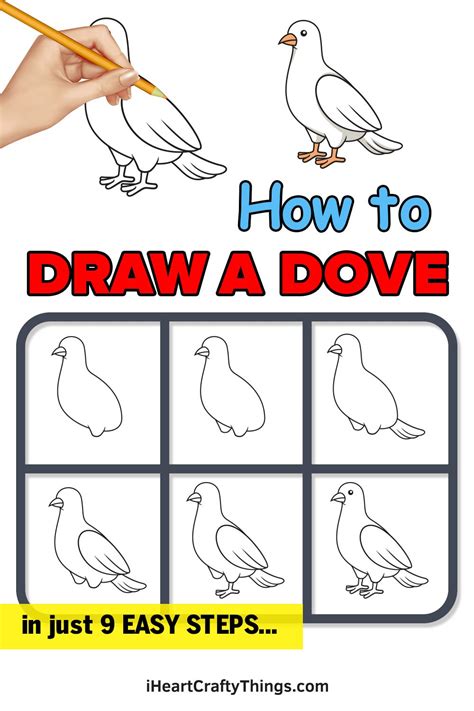 How To Draw A Dove Step By Step Guide Artofit