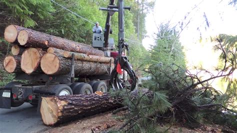 hydraulic crane positions logs aboard logging วดโอสตอก ปลอดคาลขสทธ