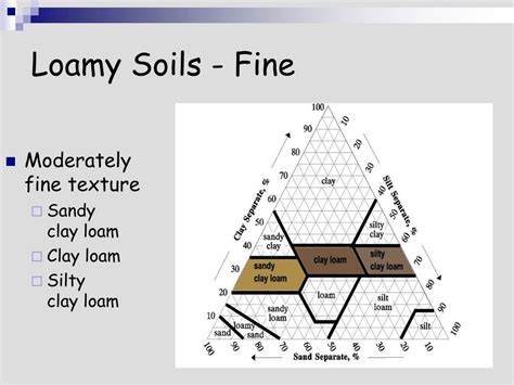 Ppt Lecture 2a Soil Texture Soil Texture Sand Silt And Clay In A