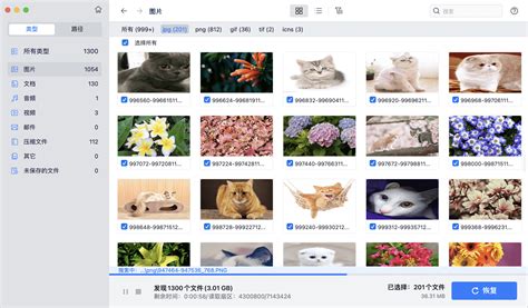 Mac文件删除怎么找回？