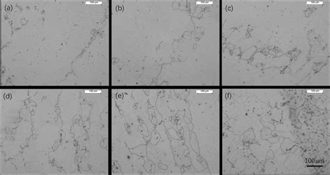 Photographs Showing The Dynamic Recrystallization Under Engineering Download Scientific Diagram