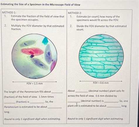 Solved Estimating The Size Of A Specimen In The Microscope Solved Estimating The Size Of A Specimen In The Microscope