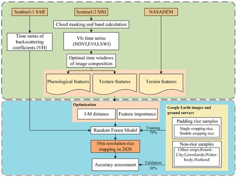 Mapping Paddy Rice Workflow Overview Download Scientific Diagram