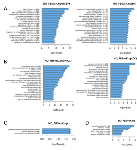 Mrna Seq Cells Go Annotations For Differentially Expressed Genes A Download Scientific