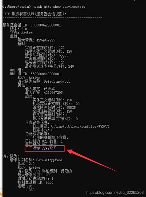 Windows10启动 Nginx 报错 Emerg Bind To 000080 Failed 10013 An Attempt Was Made To Access