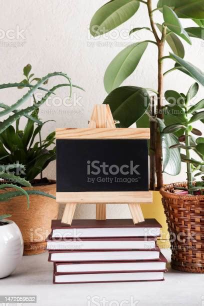 식물과 함께 흰색 배경에 책 더미에 있는 텍스트에 대한 블랙 보드 복사 공간 교육 및 전시회 회의 개념 학교로 돌아 가기 0명에 대한 스톡 사진 및 기타 이미지 Istock