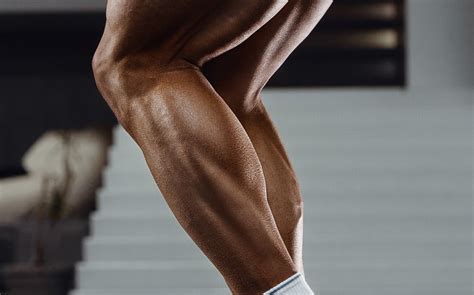 9 Best Seated Calf Raise Alternatives For Bigger Calves Workout Temple