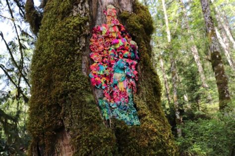 Katy Biele Ephemeral Textile Nature Installations