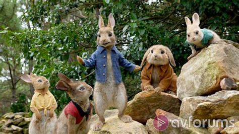 Peter Rabbit Movie Review Avforums