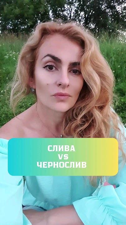 СЛИВА Vs ЧЕРНОСЛИВ Youtube