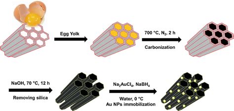 Schematic Synthesis Of Auomc Catalyst From Egg Yolk And Through Hard