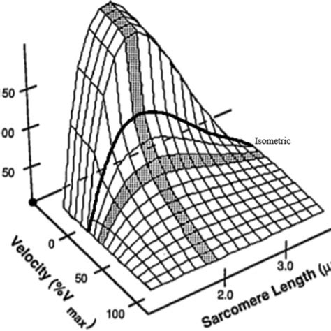 Three Dimensional Depiction Of A Generalised Relationship Between Download Scientific Diagram