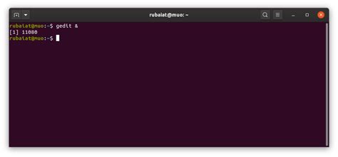 How To Run Linux Commands In The Background