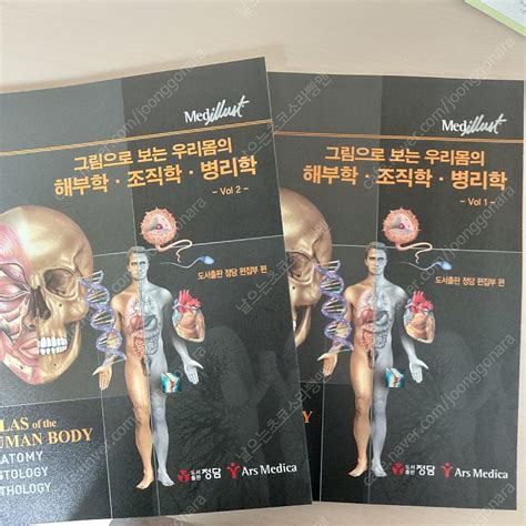 그림으로 보는 우리몸의 해부학조직학병리학 책 팝니다 학습교육 중고나라
