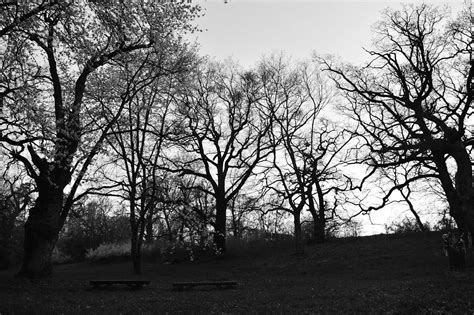 Xavier Vasques Author At Towards Data Science