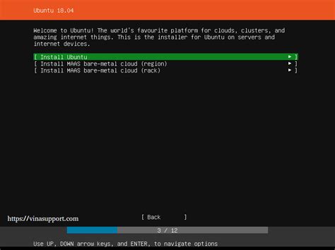 Hướng Dẫn Cài đặt Ubuntu Server 1804 Lts Vinasupport