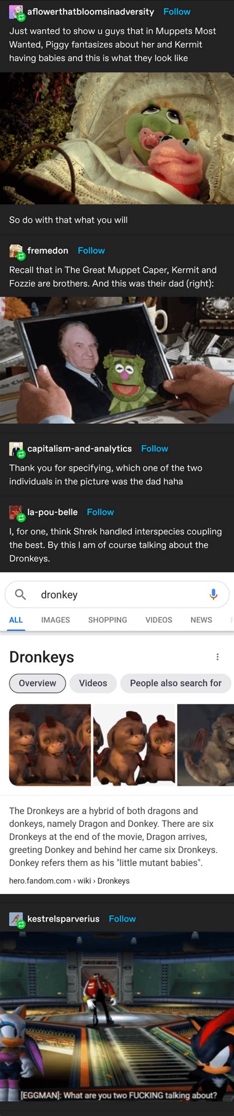 Muppet Sex Rcuratedtumblr