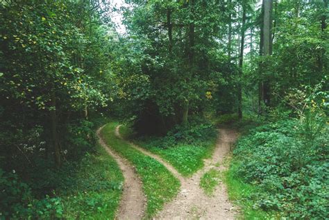 neural networks as decision trees towards data science
