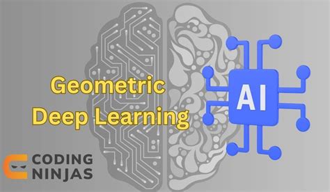 Introduction To Geometric Deep Learning Naukri Code 360