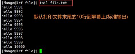 【linux】指令篇 键盘修炼者linux Shell轮询键盘按钮的状态 Csdn博客
