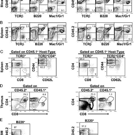 Mhc Mismatched Complete Chimerism Tolerizes Residual Host Type T Cells