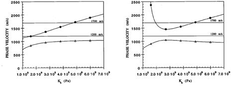 The Phase Velocity Of The Type I ͑ Fast ͒ P Wave — • And Type Ii ͑ Slow Download Scientific