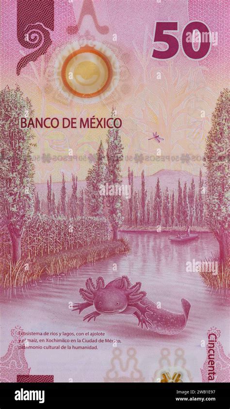 Denominations Mexico Banknotes Fifty Pesos National A Money Rear View