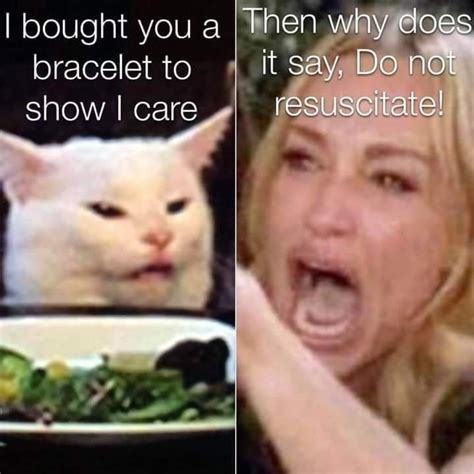 Pin By Cathy Smotherman On Memes White Cat Meme Cat Jokes Funny Memes
